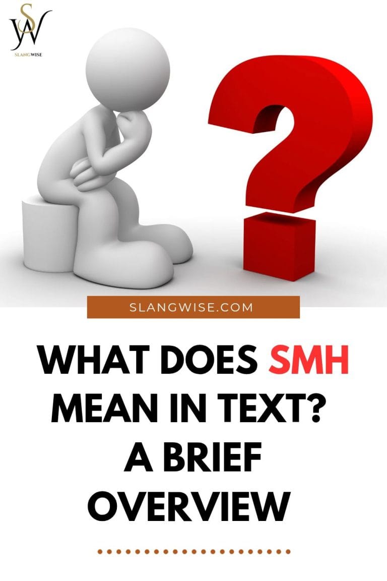 What is SMH Meaning in Text - A Brief Overview